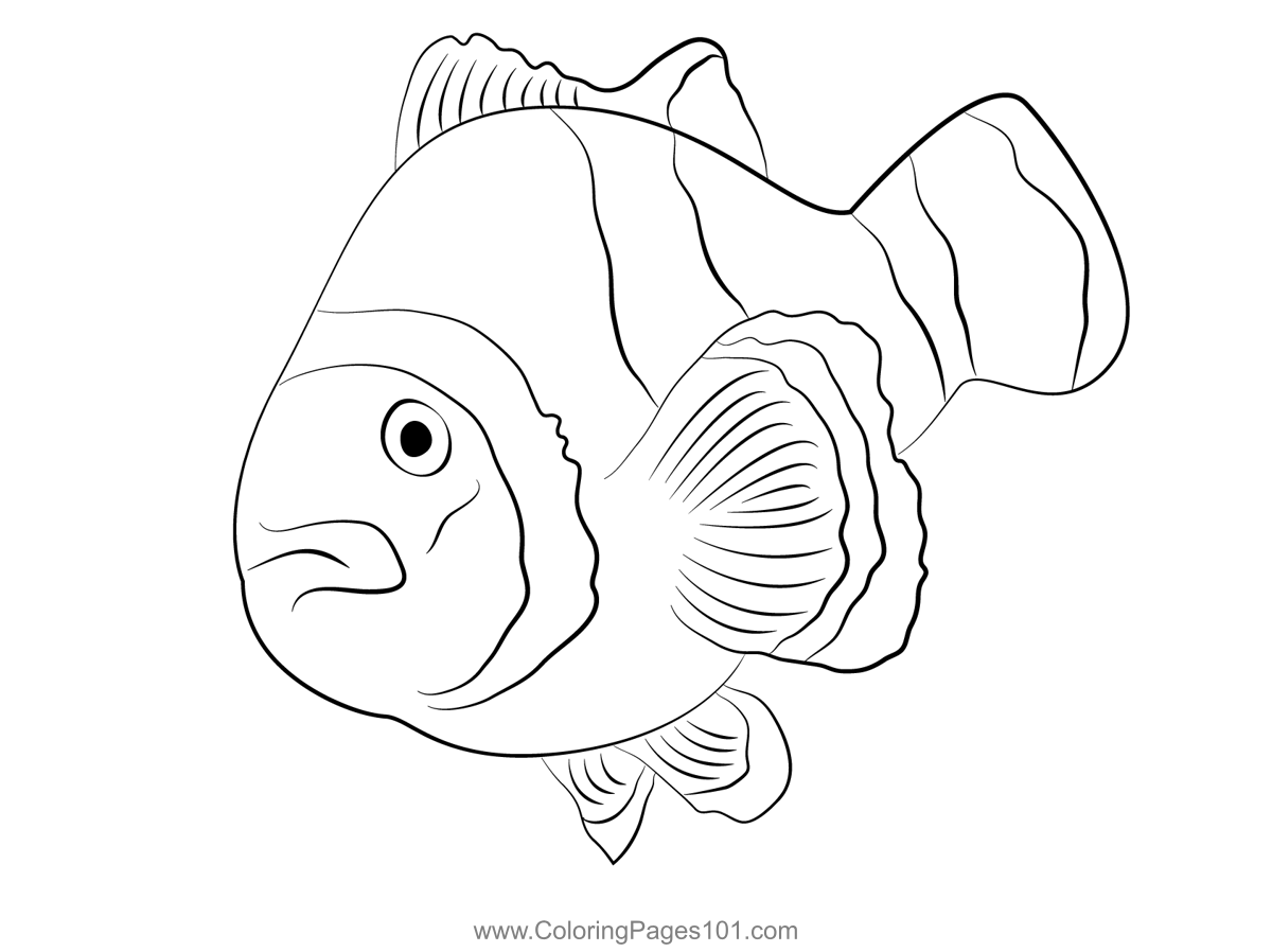 Clown Fish Word And Phrase Coloring Page for Kids - Free Clownfishes ...