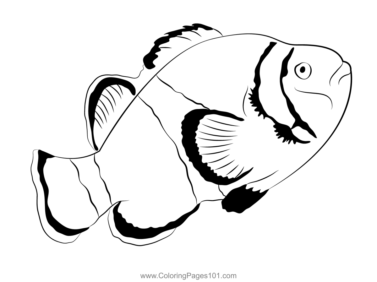 Clownfish Coloring Page for Kids - Free Clownfishes Printable Coloring ...