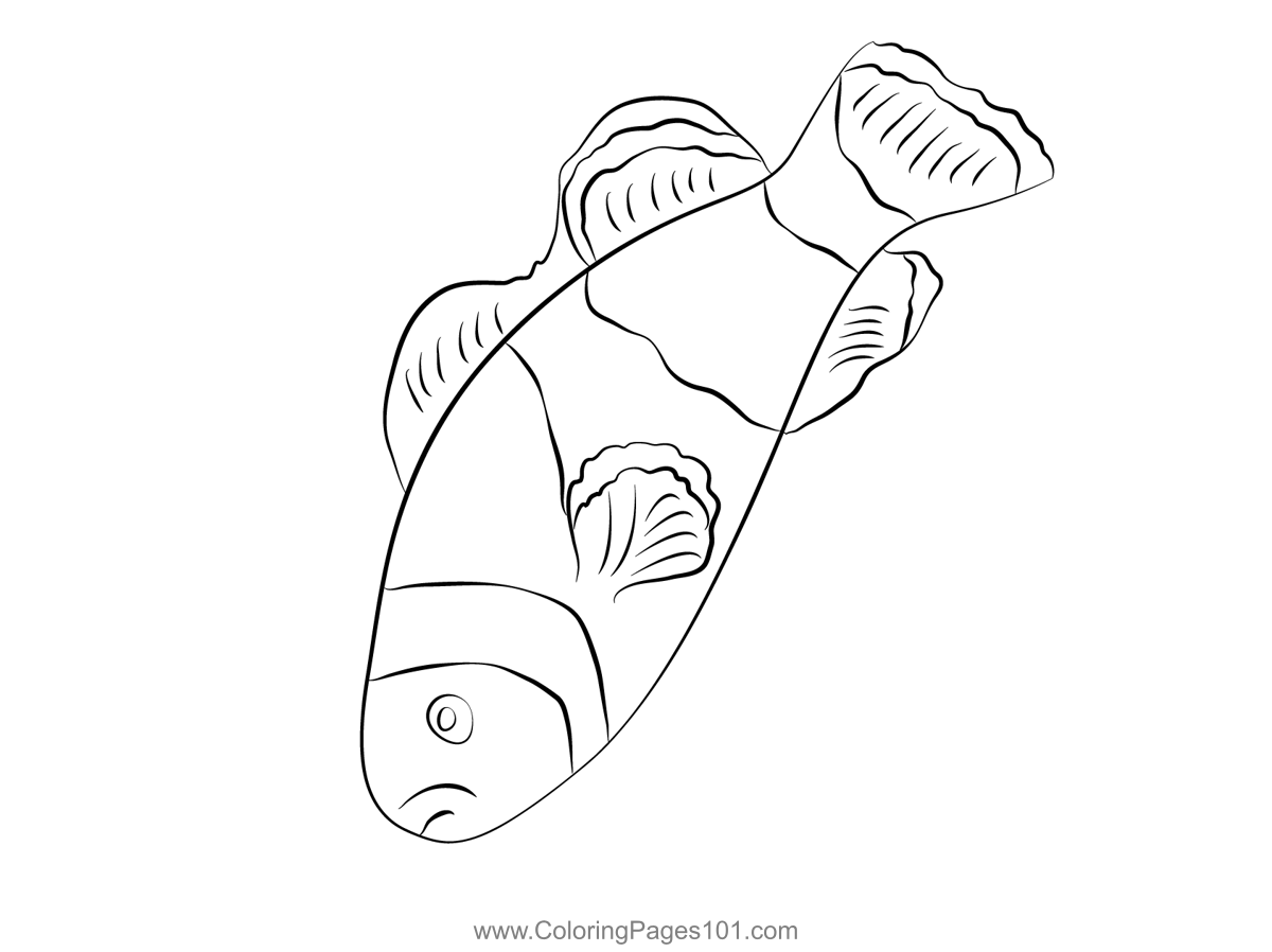 Clown Fish Coloring Page for Kids - Free Clownfishes Printable Coloring ...