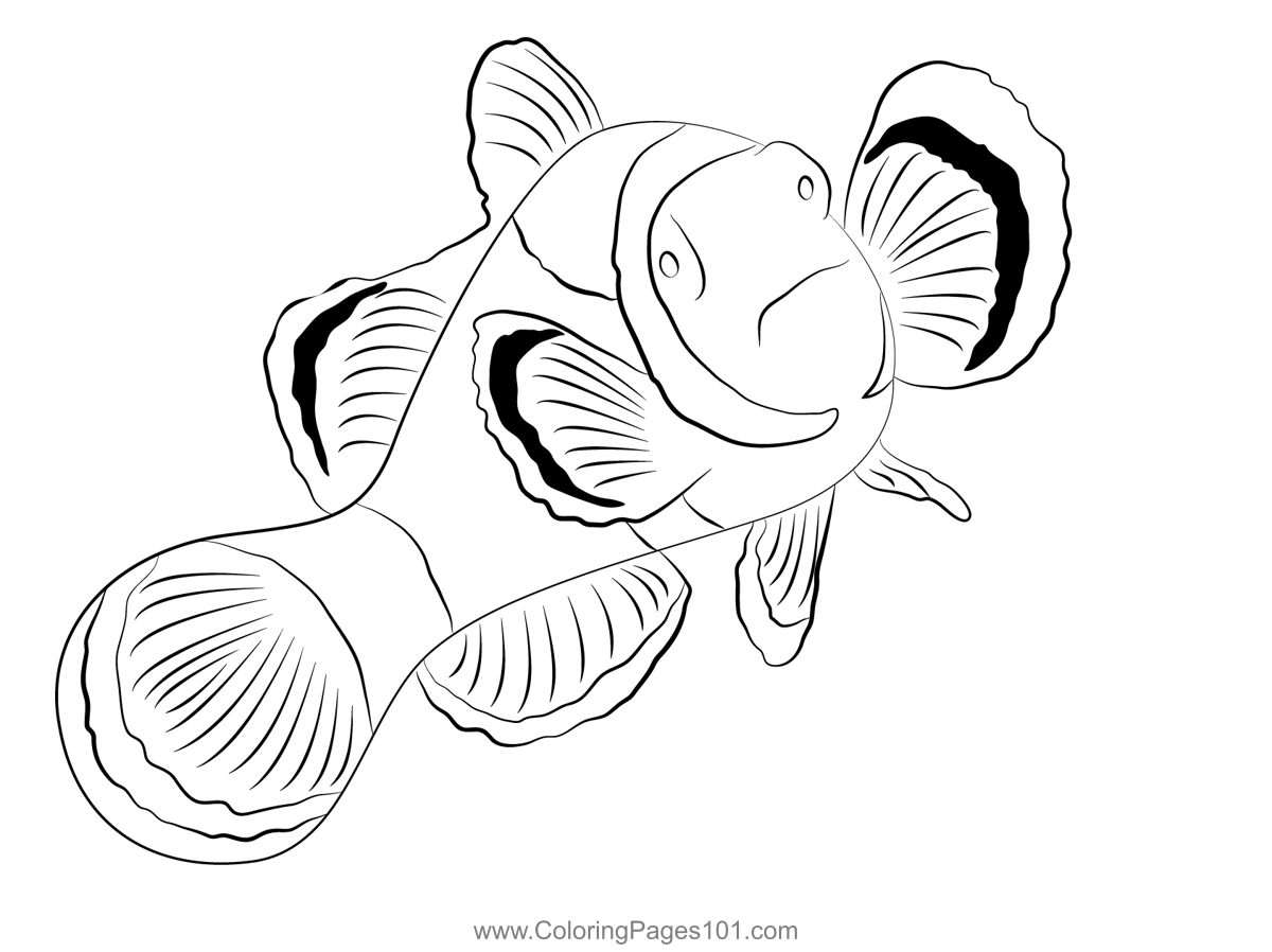 Marine Life Clown Fish Coloring Page for Kids - Free Clownfishes ...