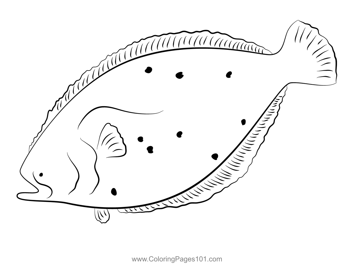 Flounder 2 Coloring Page for Kids - Free Flounders Printable Coloring ...