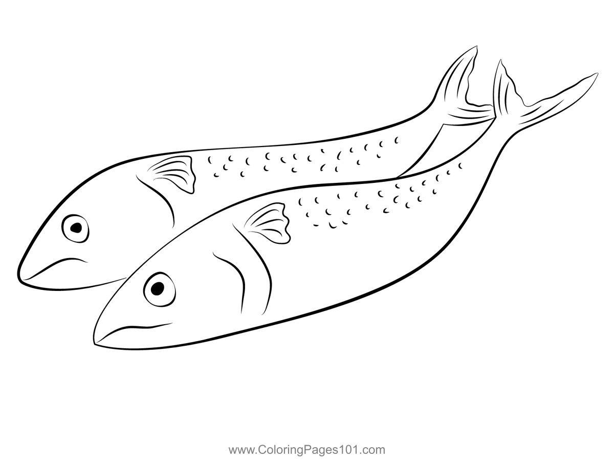 Mackerel Coloring Page Free Printable Pages Sketch Coloring Page