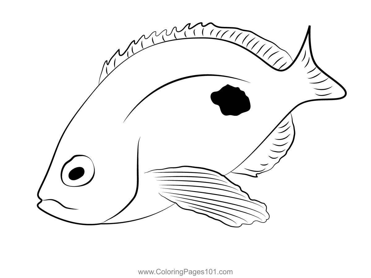 Perch Butterfly Coloring Page for Kids - Free Perches Printable ...