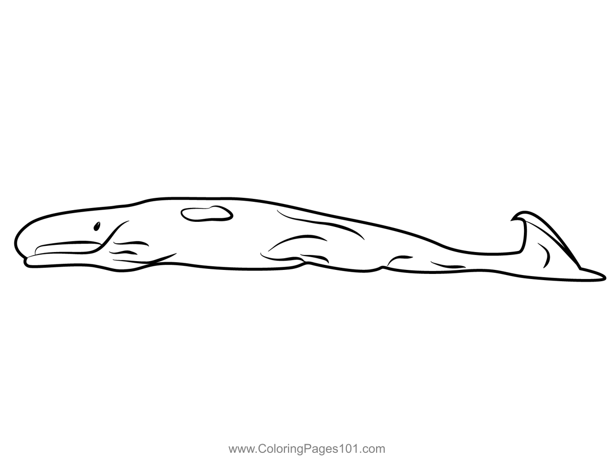 Shark 1 Coloring Page for Kids - Free Sharks Printable Coloring Pages ...