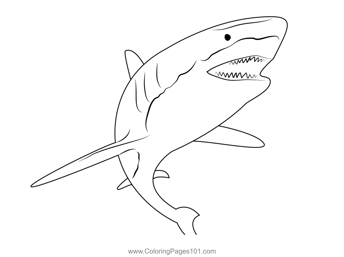 Shark Attack Coloring Page for Kids - Free Sharks Printable Coloring ...