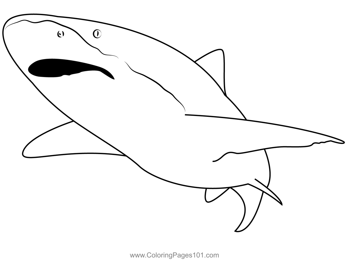 Shark See Coloring Page for Kids - Free Sharks Printable Coloring Pages ...