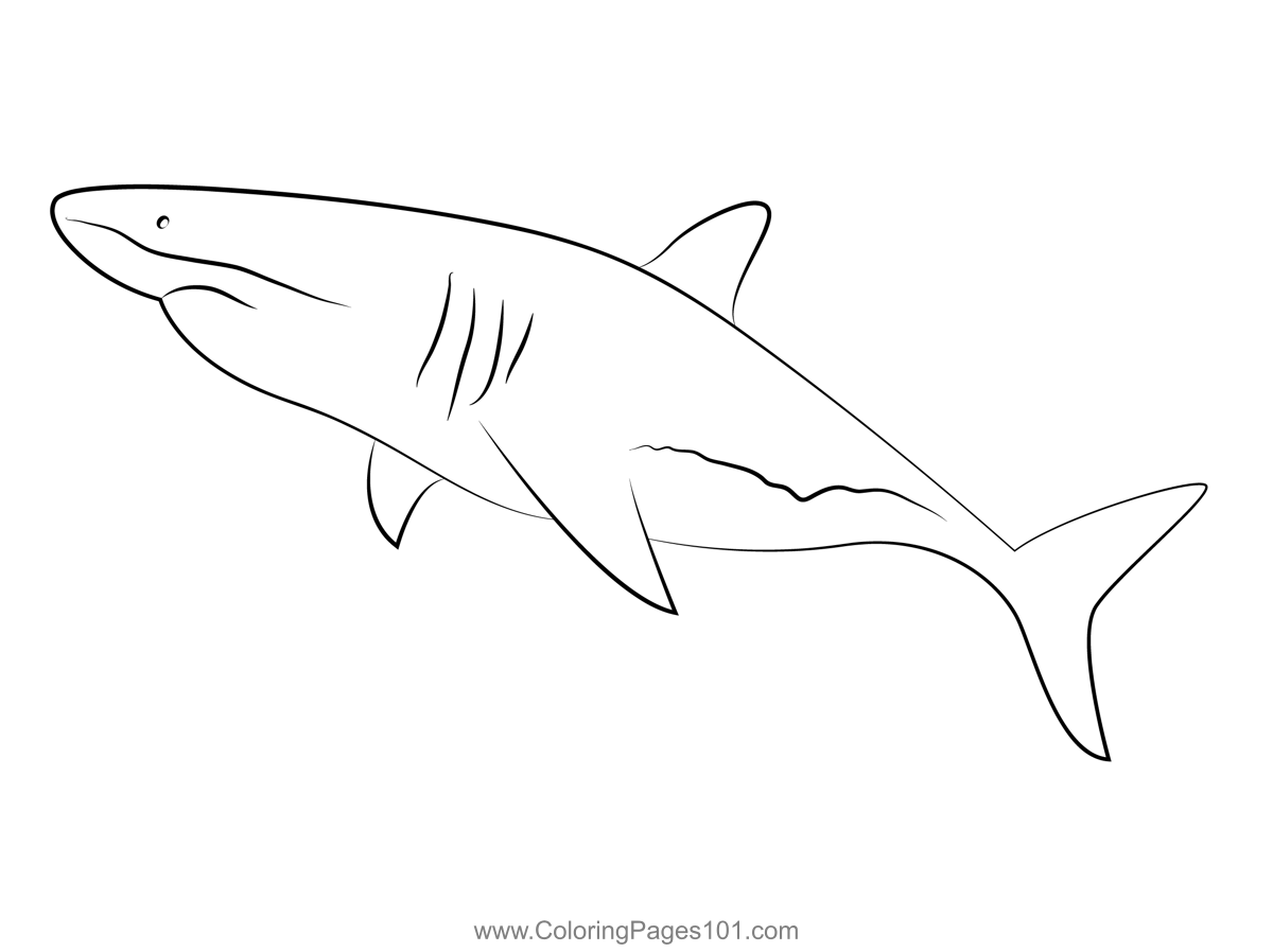 Shark Coloring Page for Kids - Free Sharks Printable Coloring Pages ...