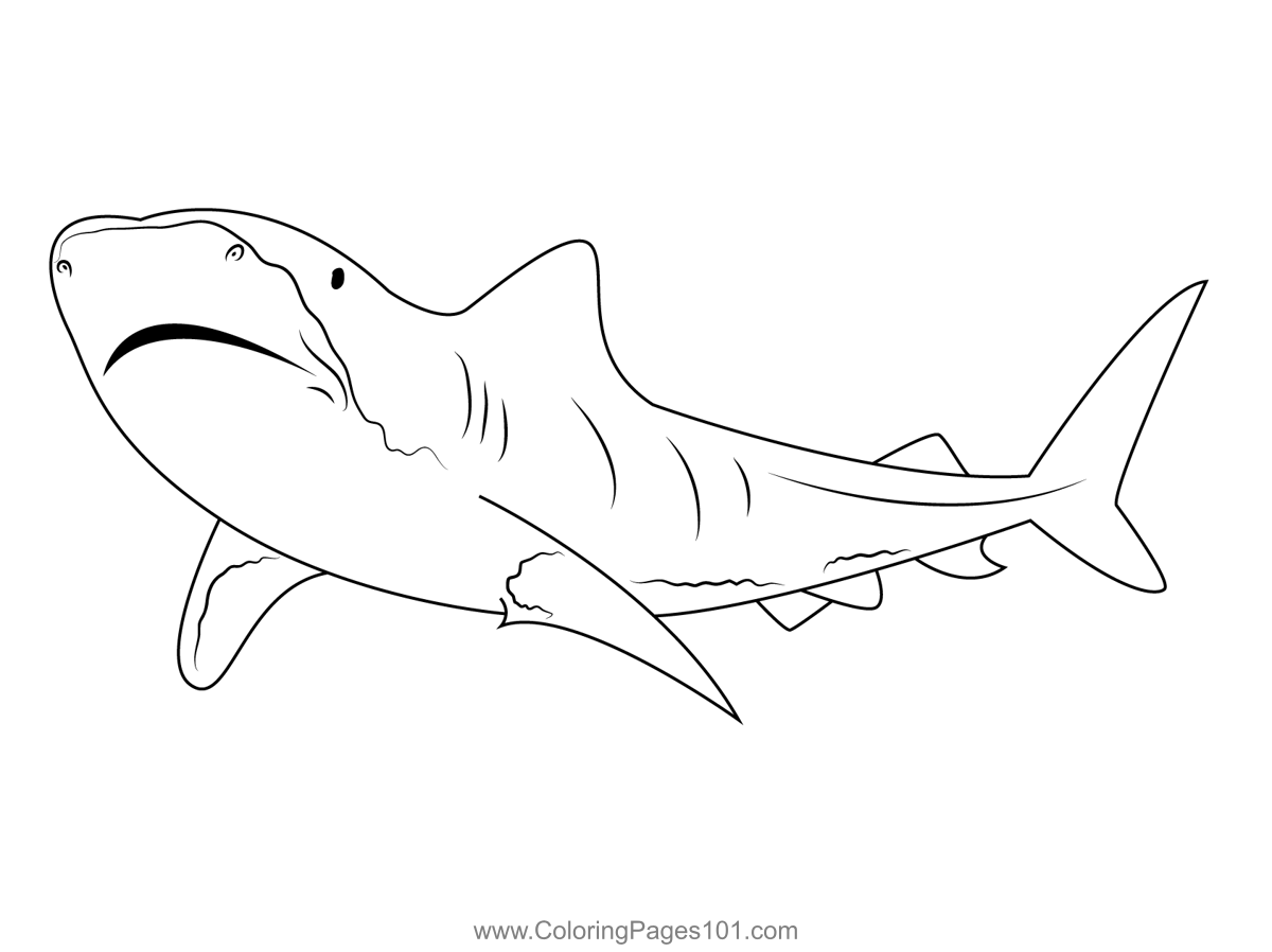 Tiger Shark Migration Coloring Page for Kids - Free Sharks Printable ... Tiger Shark Migration Coloring Page for Kids - Free Sharks Printable ...