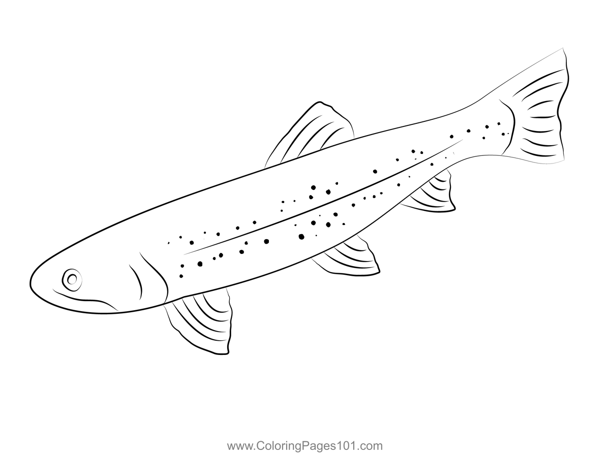 Brook Trout Cherokeenf Coloring Page for Kids - Free Trouts Printable ...