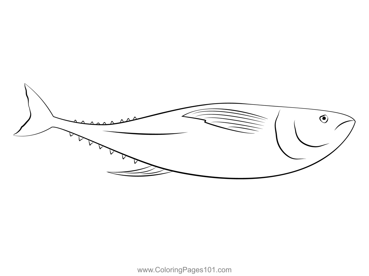 Tuna Fish Coloring Page