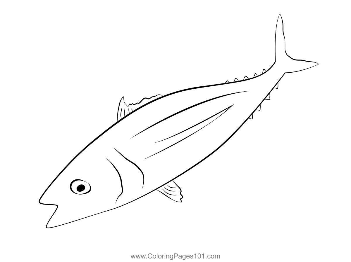First Tuna Coloring Page for Kids - Free Tuna Printable Coloring Pages ...