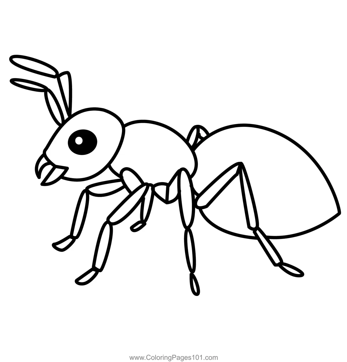 Simple Insect Creature Ant Coloring Page for Kids - Free Ants Printable ...