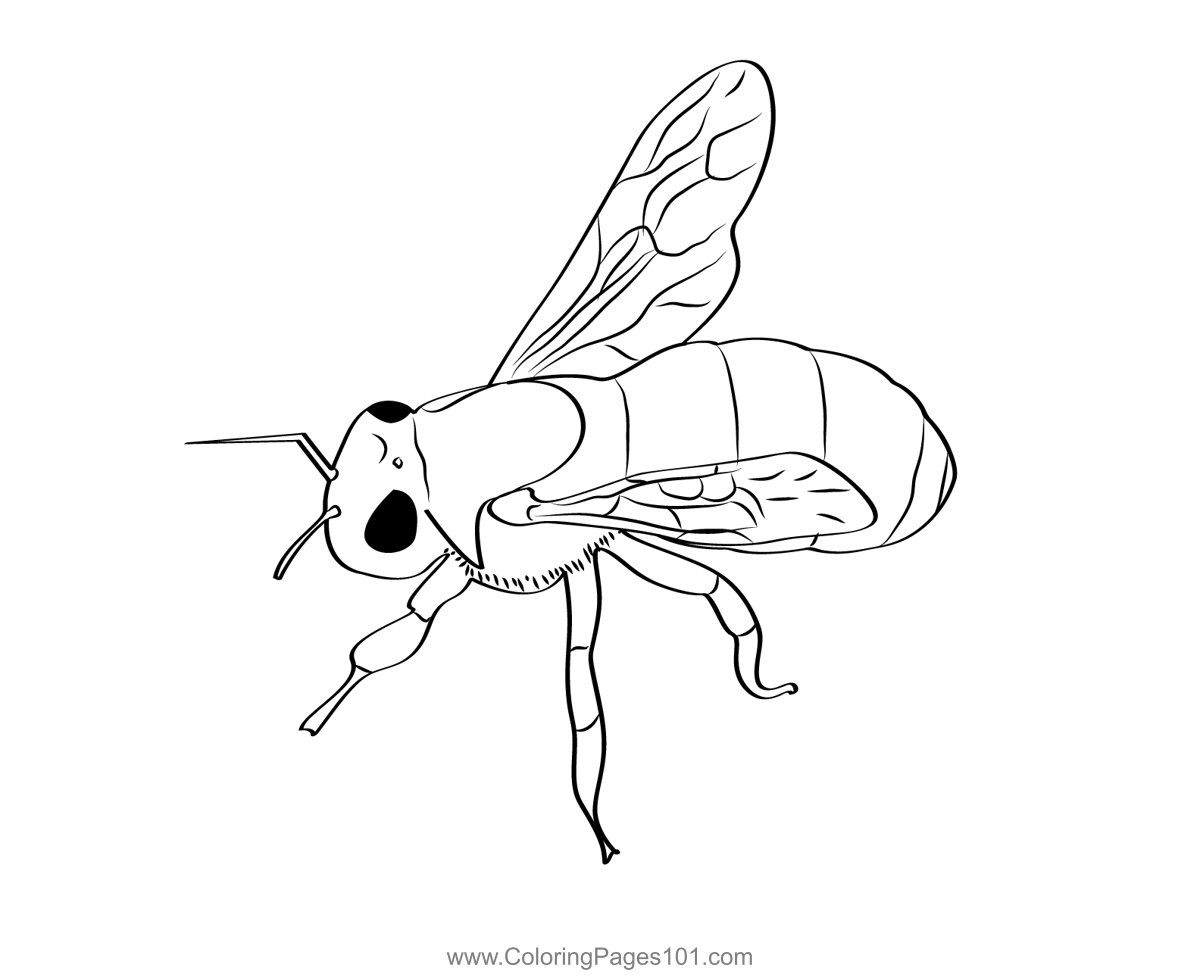 Bee Coloring Page for Kids - Free Bumblebees Printable Coloring Pages ...