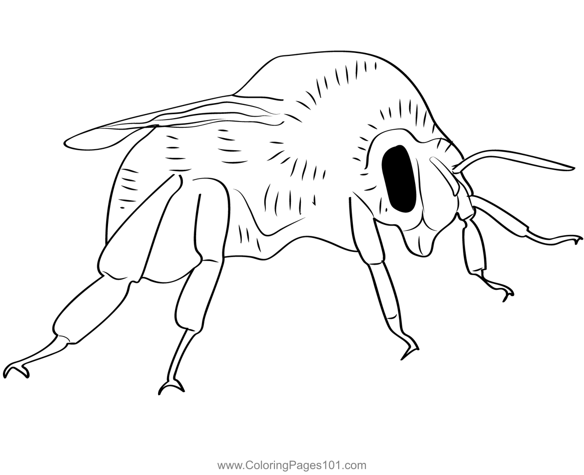 Bumble Bee 8 Coloring Page for Kids - Free Bumblebees Printable ...