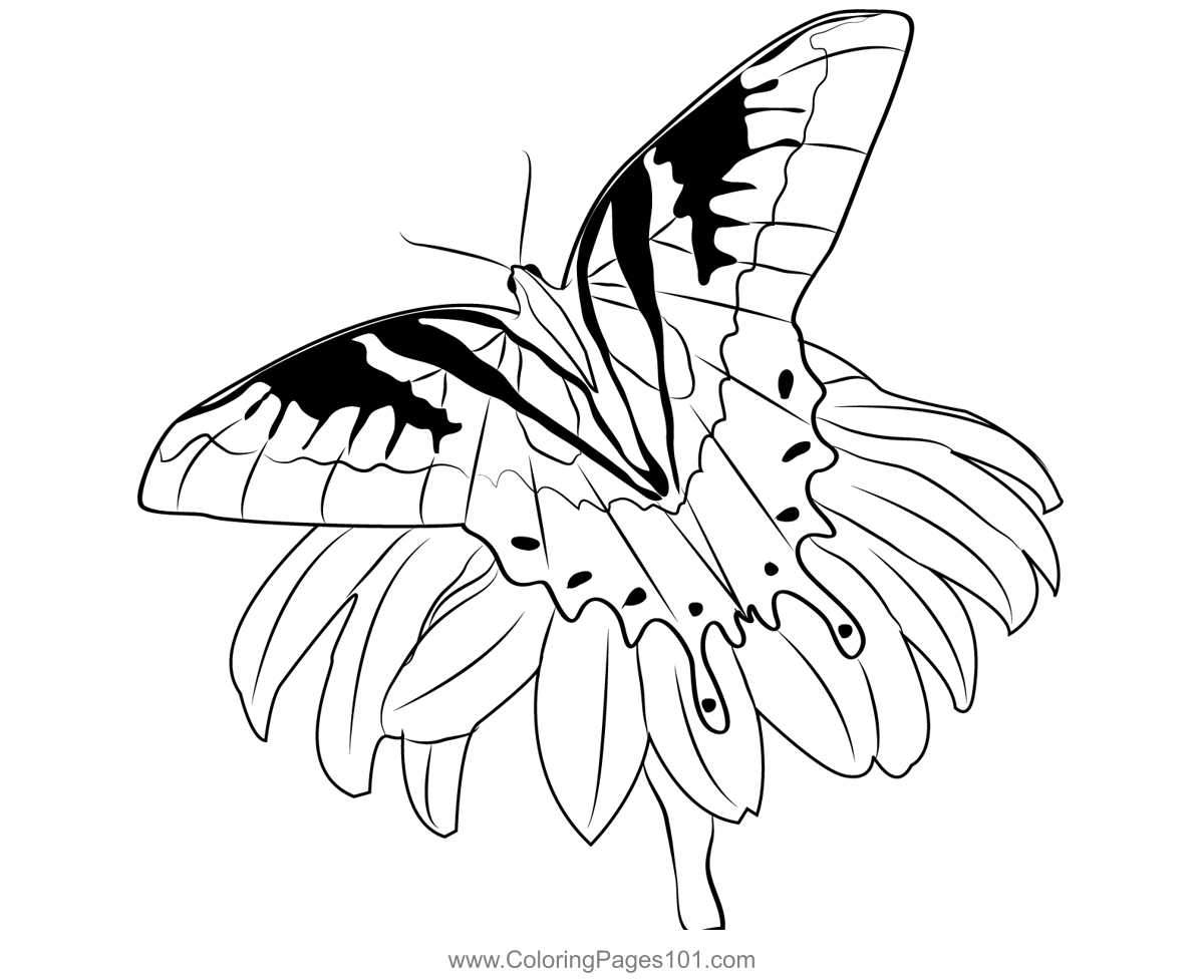 Flowers Butterfly Coloring Page for Kids - Free Butterflies Printable ...