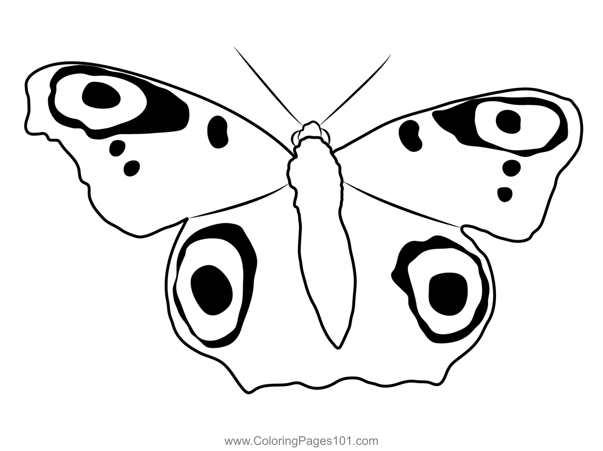 Painted Peacock Butterfly Coloring Page for Kids - Free Butterflies ...