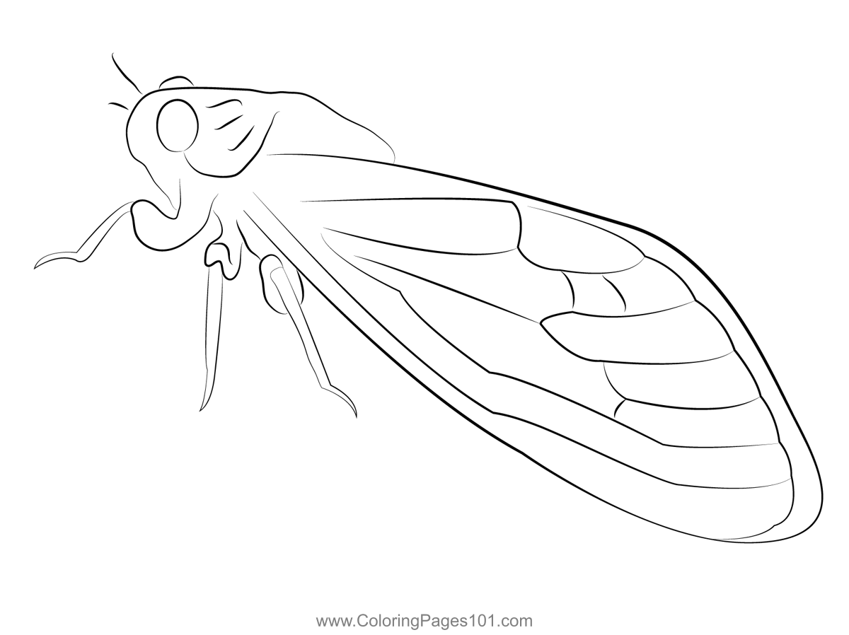 Cicada Final Coloring Page for Kids - Free Cicadas Printable Coloring ...