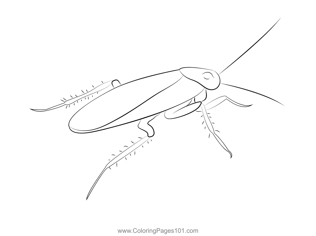 Back Look Cockroaches Coloring Page for Kids - Free Cockroaches ...