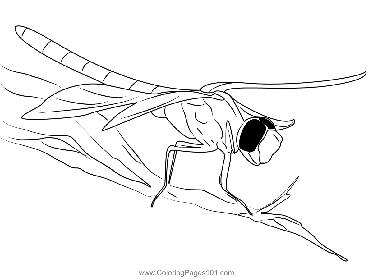 Dragonfly Coloring Page for Kids - Free Dragonflies Printable Coloring ...