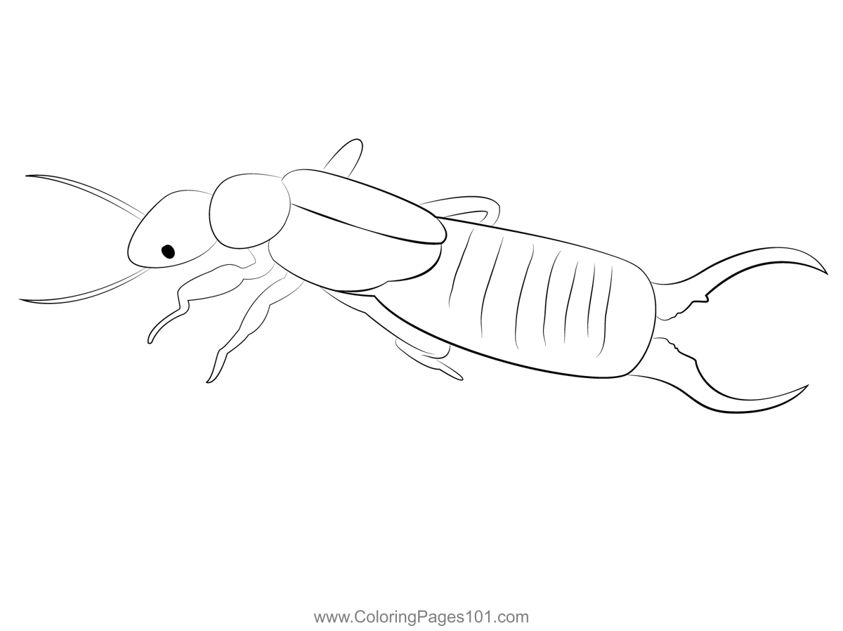 Earwig Black Coloring Page for Kids - Free Earwigs Printable Coloring ...