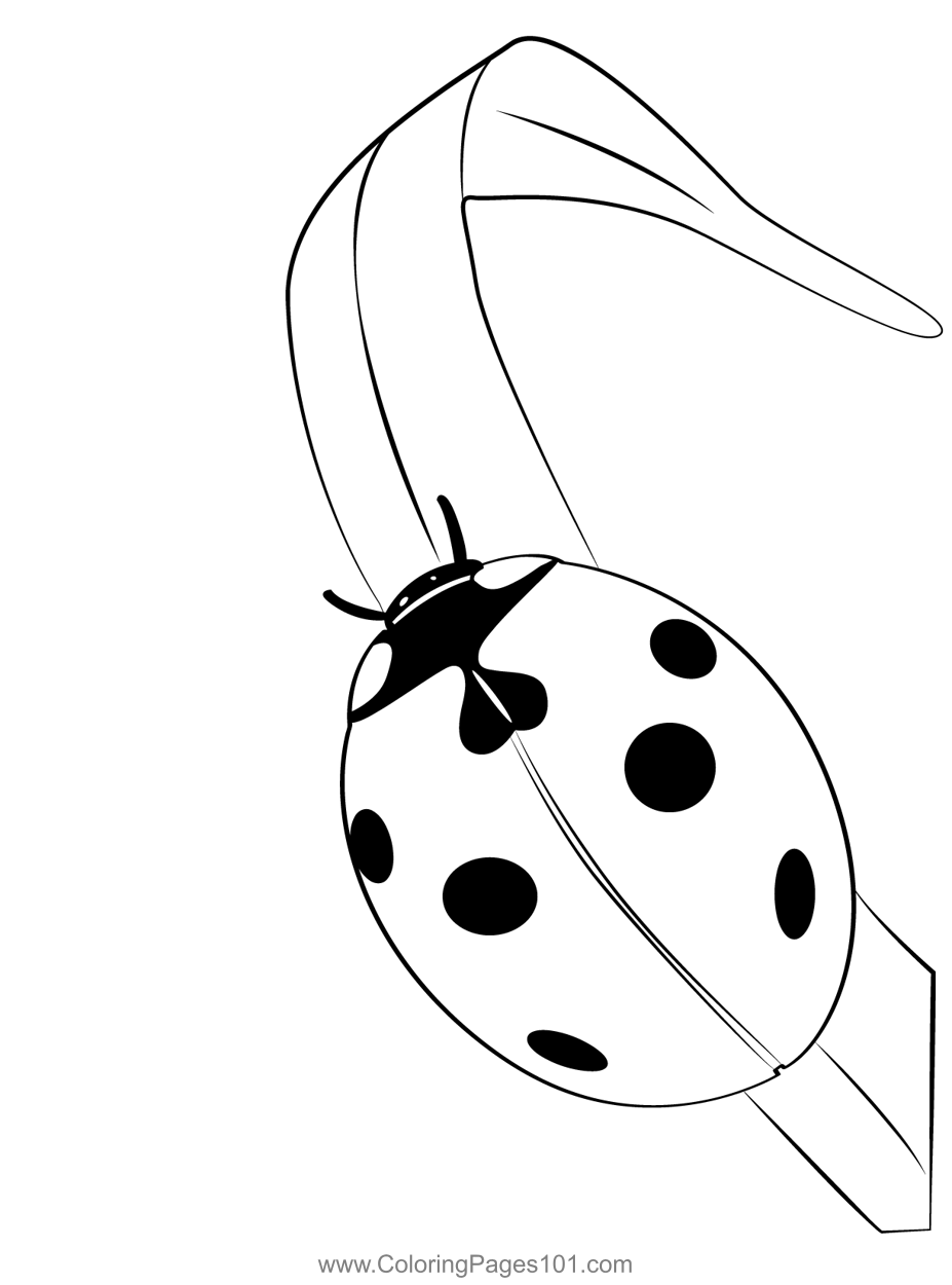 Ladybug Coloring Pages Printable