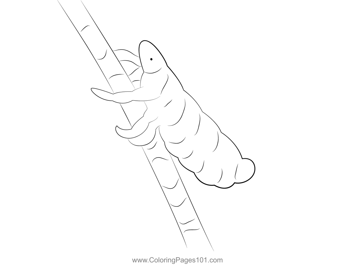 Head Lice Coloring Page for Kids - Free Lices Printable Coloring Pages ...