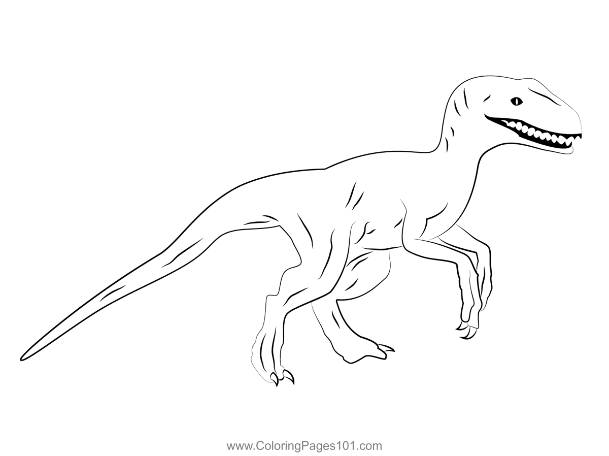 Raptor Dinosaur Coloring Pages