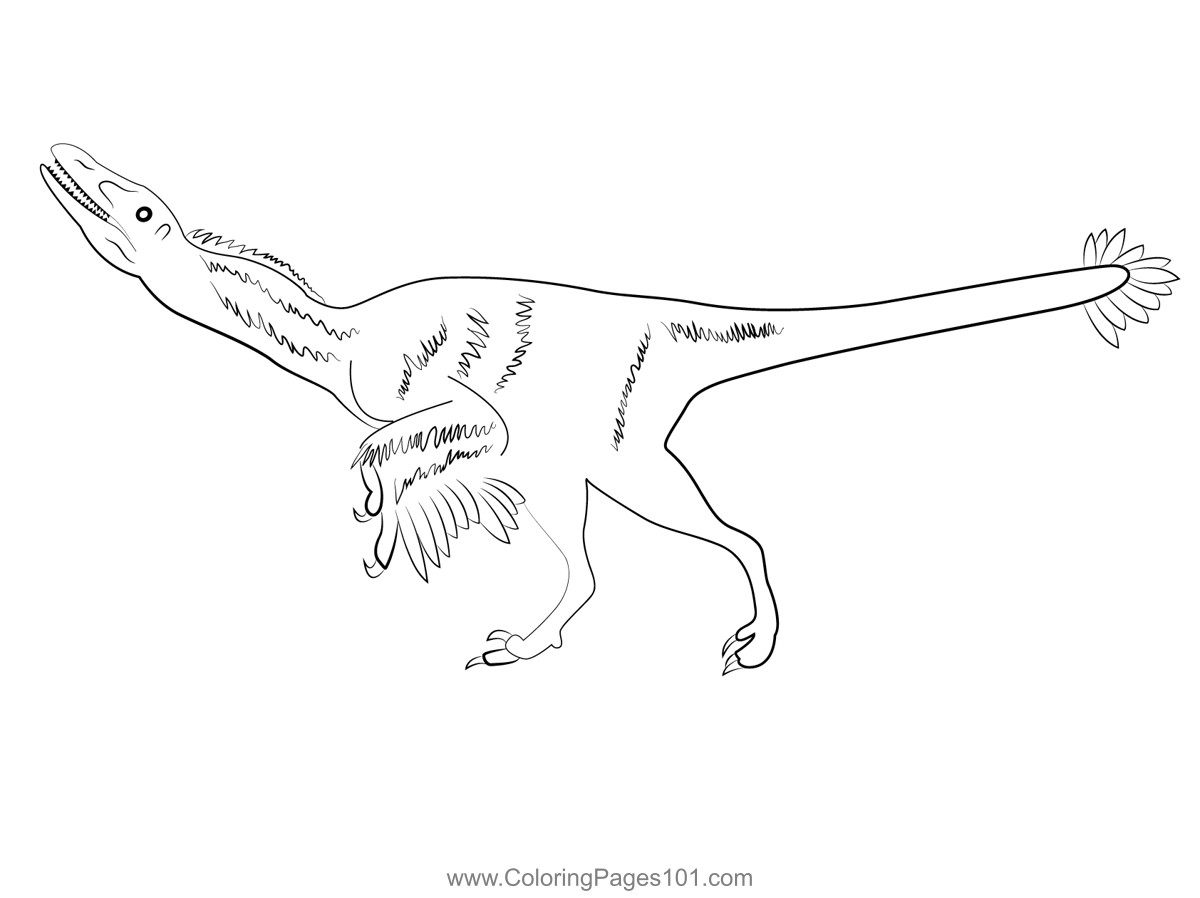 Velociraptor Bird Coloring Page for Kids - Free Dinosaurs Printable ...