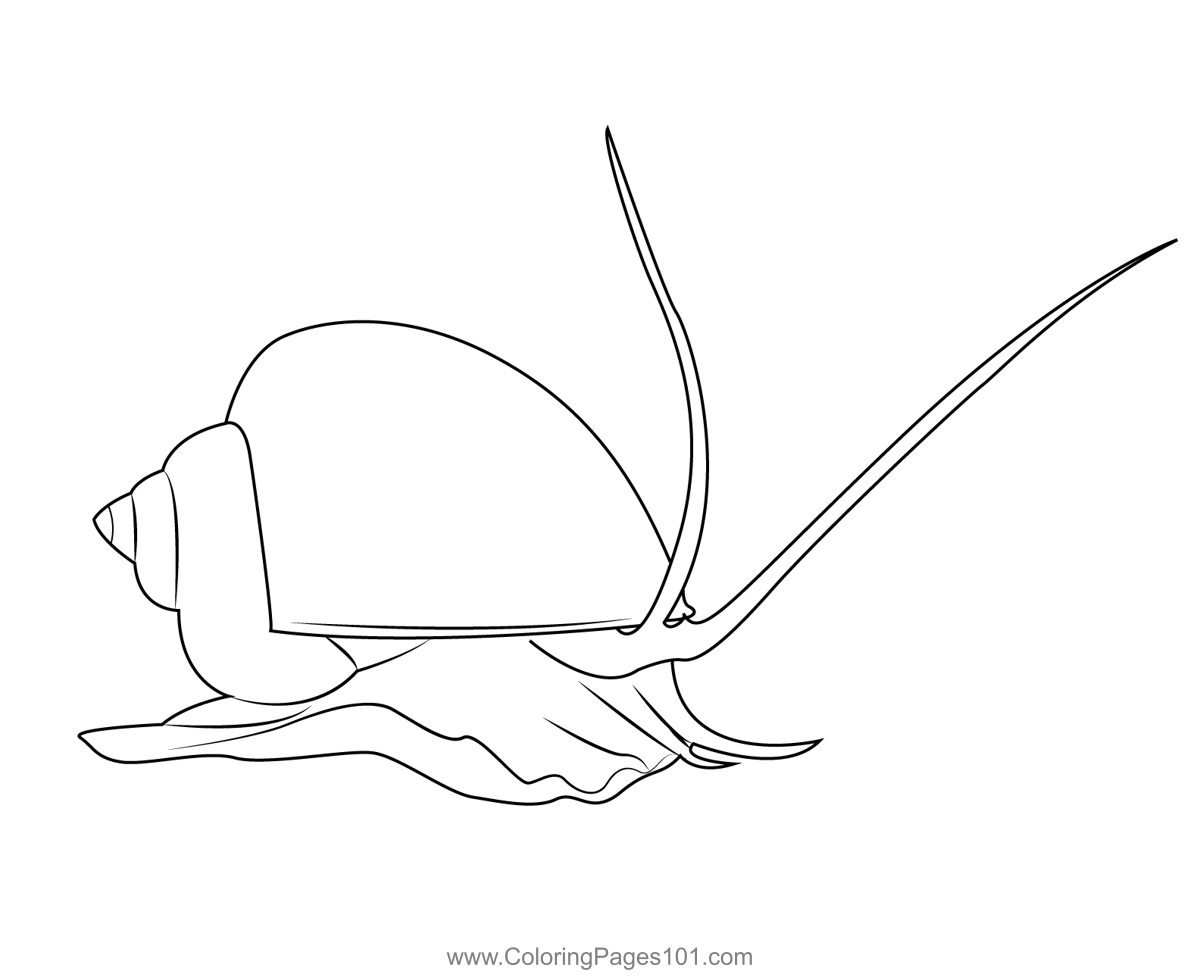 Snail Coloring African Pages Giant Land Animals Printable Safari ...