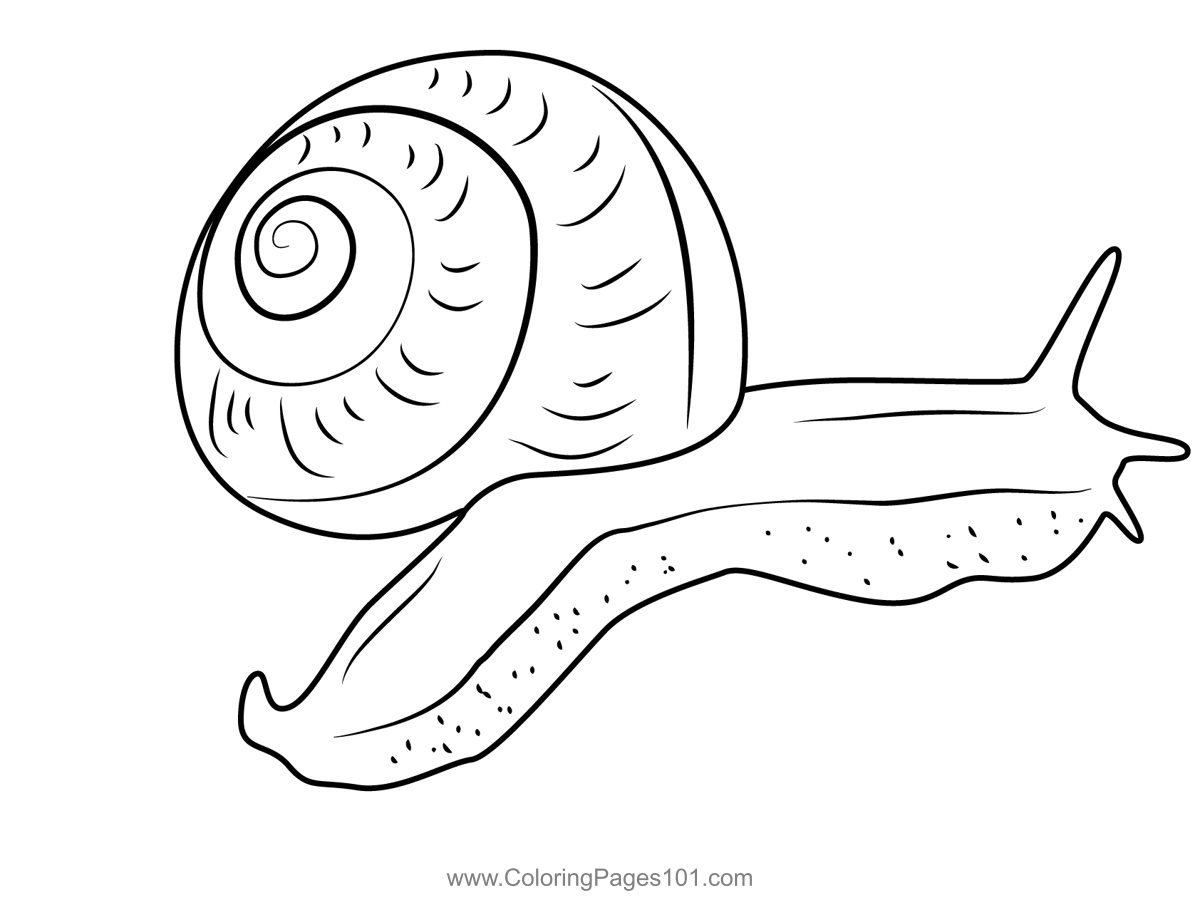 Snail Taking A Walk Coloring Page for Kids - Free Snails Printable ...