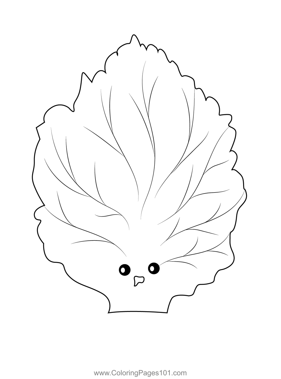 Lettuce Coloring Page