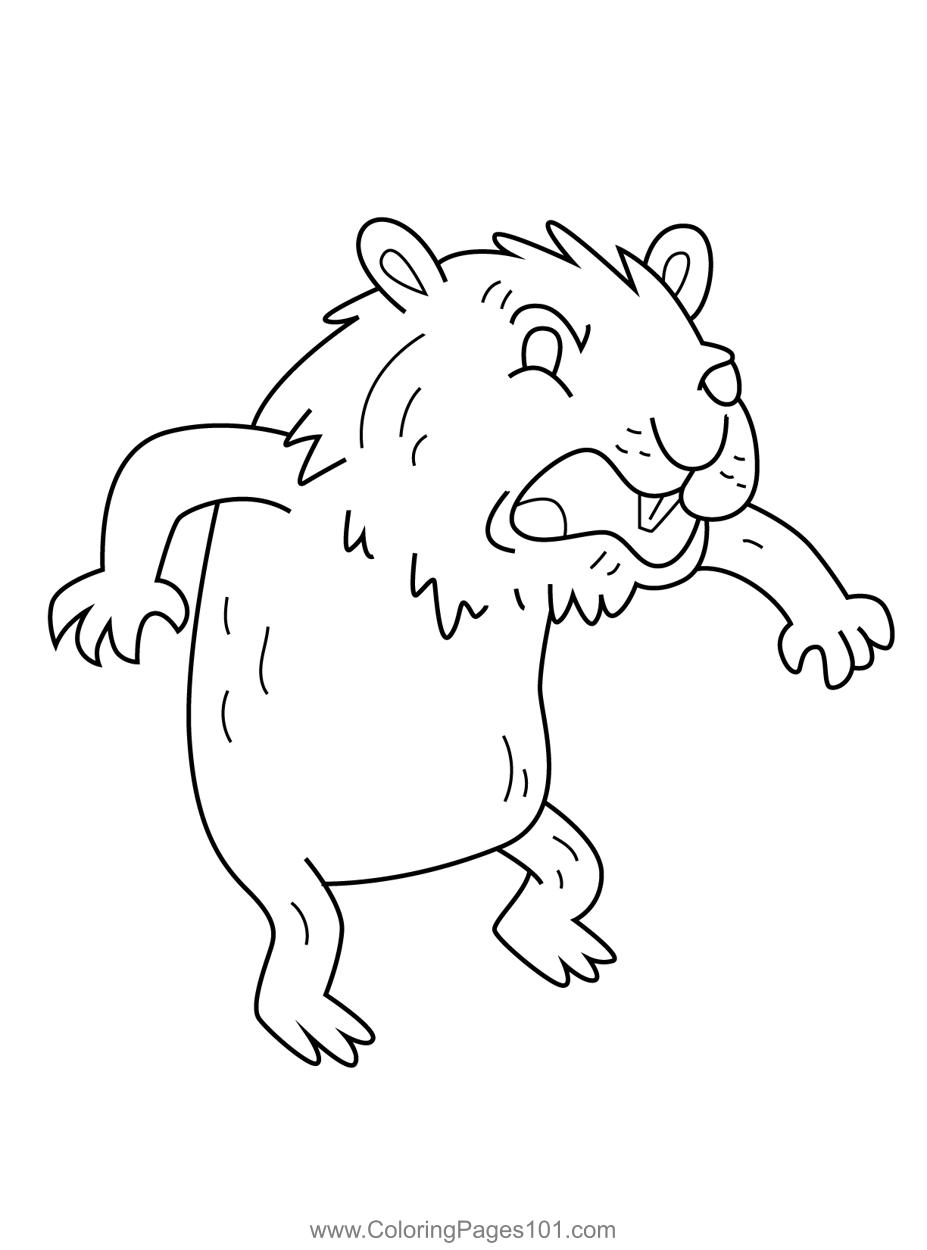 Minnesota Golden Gophers Coloring Pages Coloring Pages