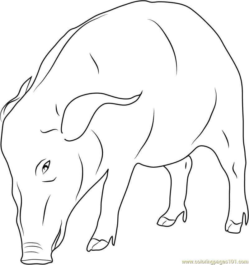 African Boar Coloring Page for Kids - Free Boar Printable Coloring ...
