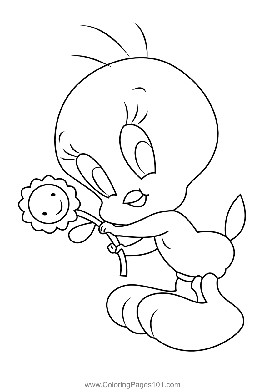 Tweety With Sunflower Coloring Page for Kids - Free Tweety Printable ...