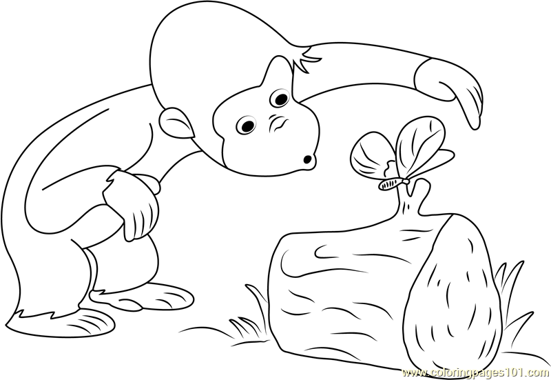 Curious George Coloring Pages Images Of Butterfly