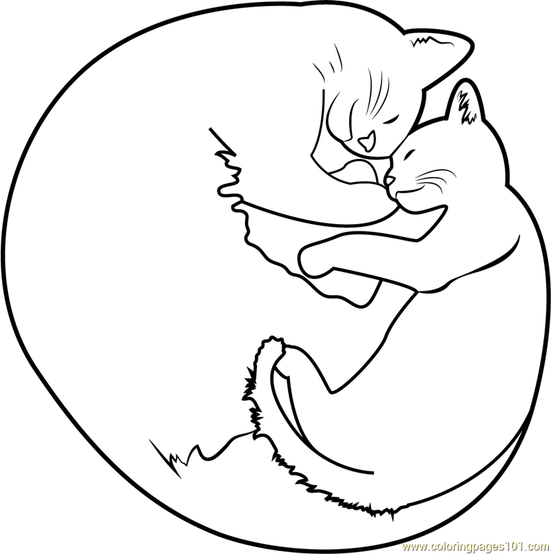 Cute Kitten Sleeping with Mom Cat Coloring Page for Kids - Free Cat ... Cute Kitten Sleeping with Mom Cat Coloring Page for Kids - Free Cat ...