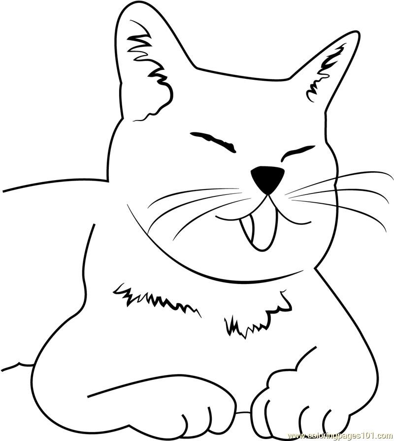 Dwarf Kitten lil Bub Cat Coloring Page for Kids - Free Cat Printable ...