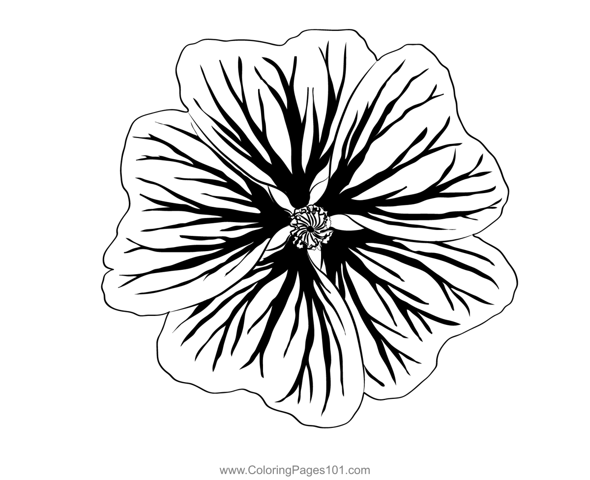 Perennial Geranium Flower Coloring Page for Kids - Free Crane's-bills ...