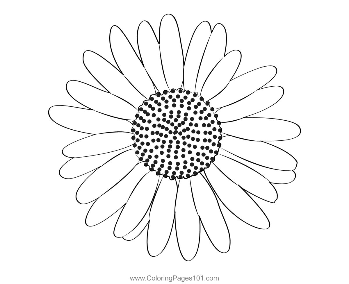 Daisy 1 Coloring Page for Kids - Free Daisies Printable Coloring Pages ...