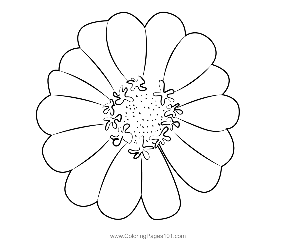Daisy Rose Petal Coloring Pages