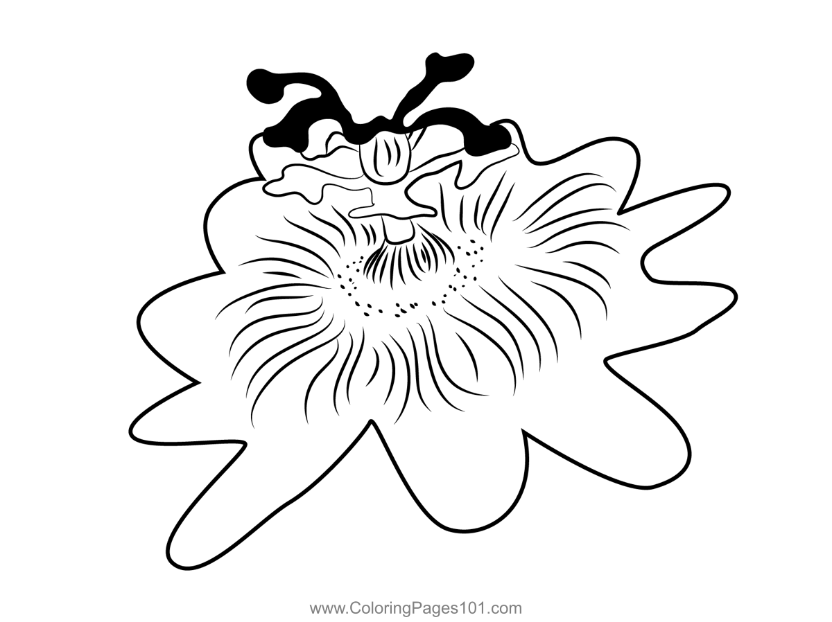 Passion Flower Coloring Page for Kids - Free Passion flowers Printable ...