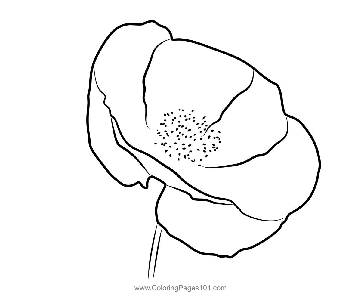 Poppy Flower Coloring Page for Kids - Free Poppy Printable Coloring ...