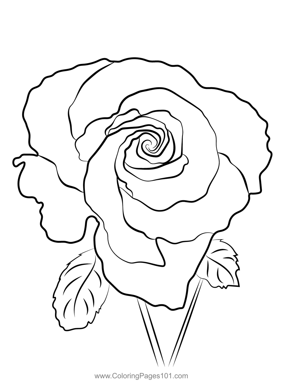 Beautiful Fresh Rose Coloring Page for Kids - Free Rose Printable ... Beautiful Fresh Rose Coloring Page for Kids - Free Rose Printable ...