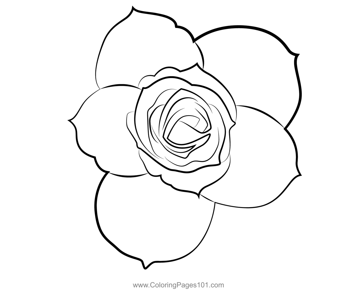 Rose 1 Coloring Page for Kids - Free Rose Printable Coloring Pages ...