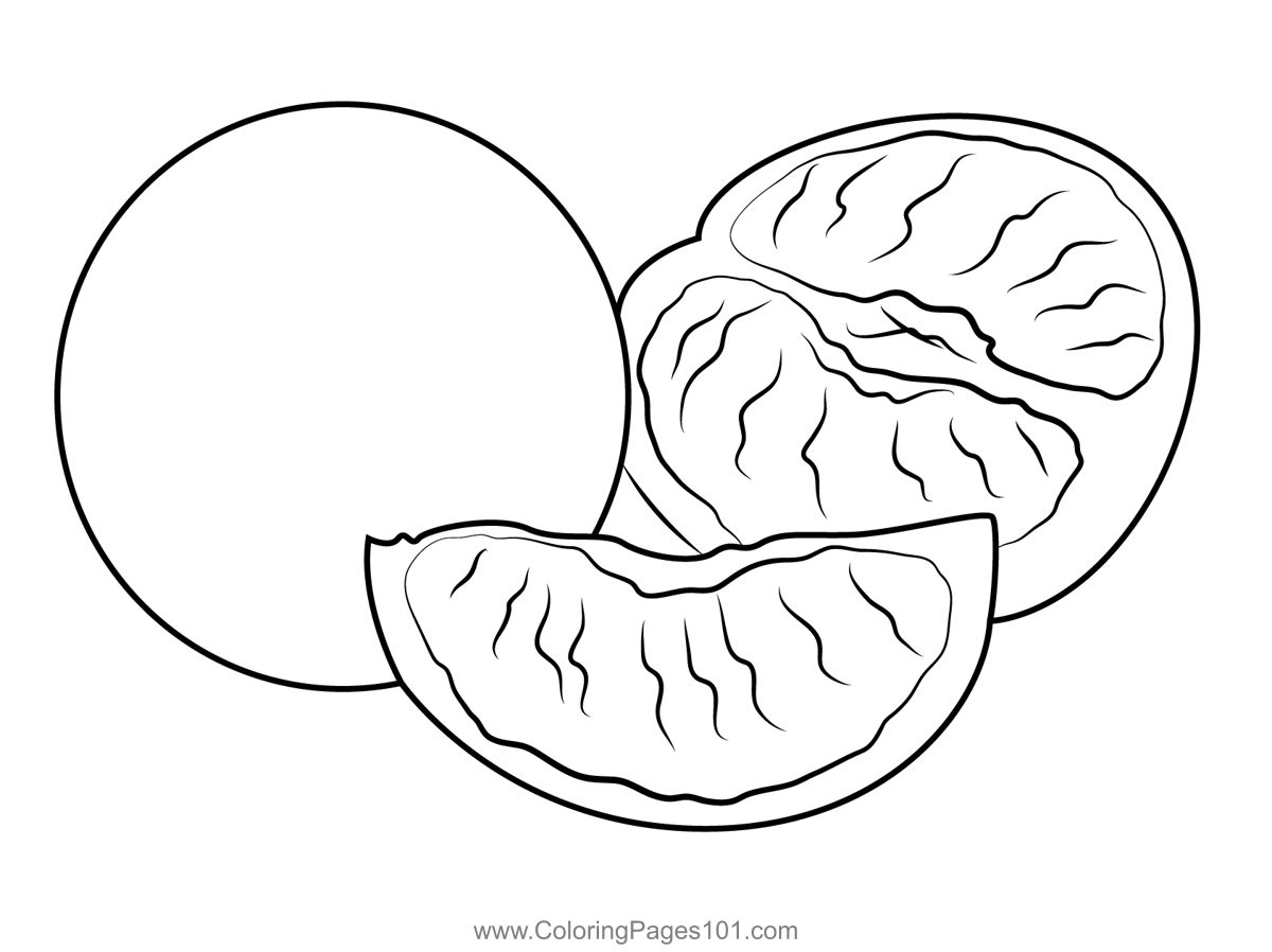 Orange Fruit Coloring Template Pages Fruits Drawing Kids Printable ...