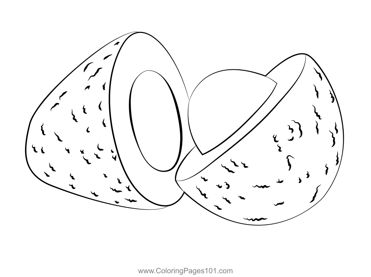Avocado Medium Coloring Page for Kids - Free Avocado Printable Coloring ... Avocado Medium Coloring Page for Kids - Free Avocado Printable Coloring ...