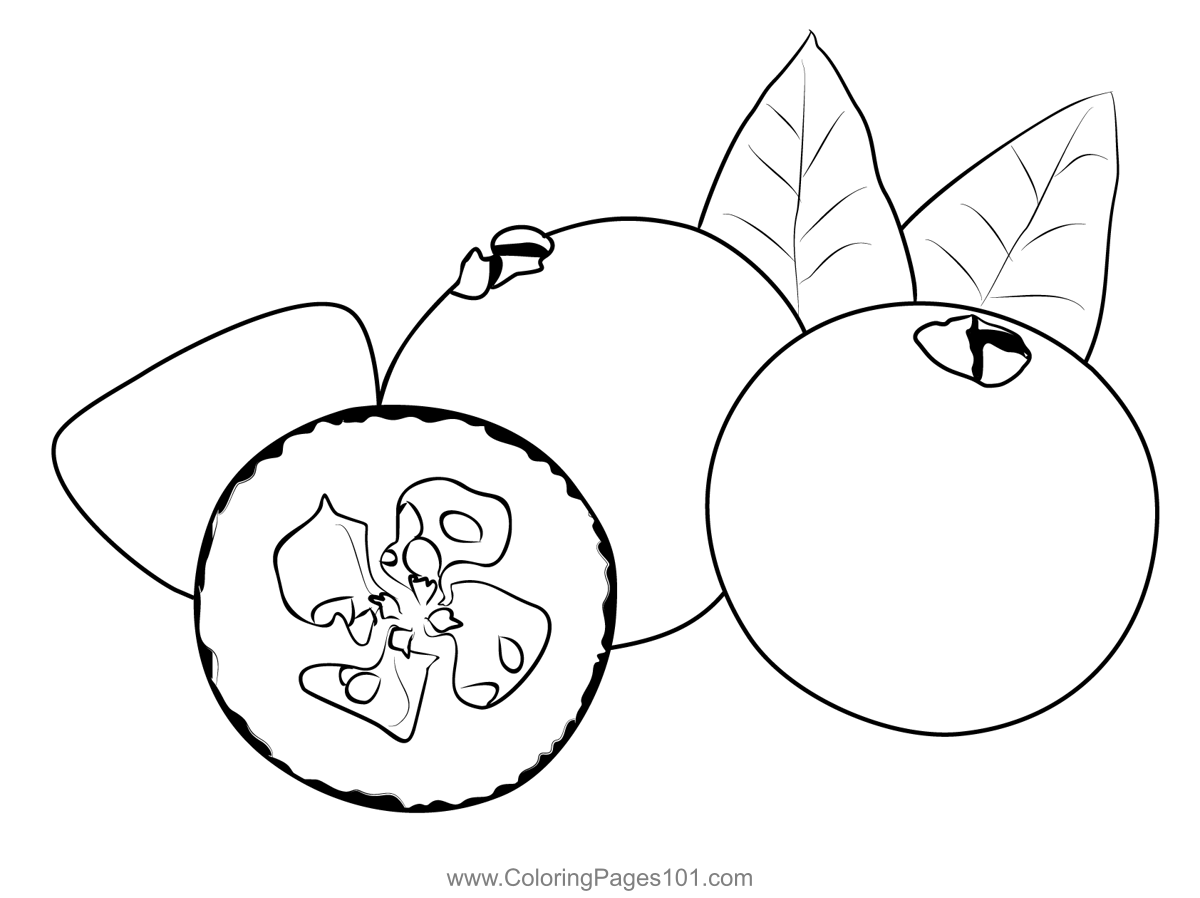 Cranberry 1 Coloring Page for Kids - Free Cranberry Printable Coloring ...