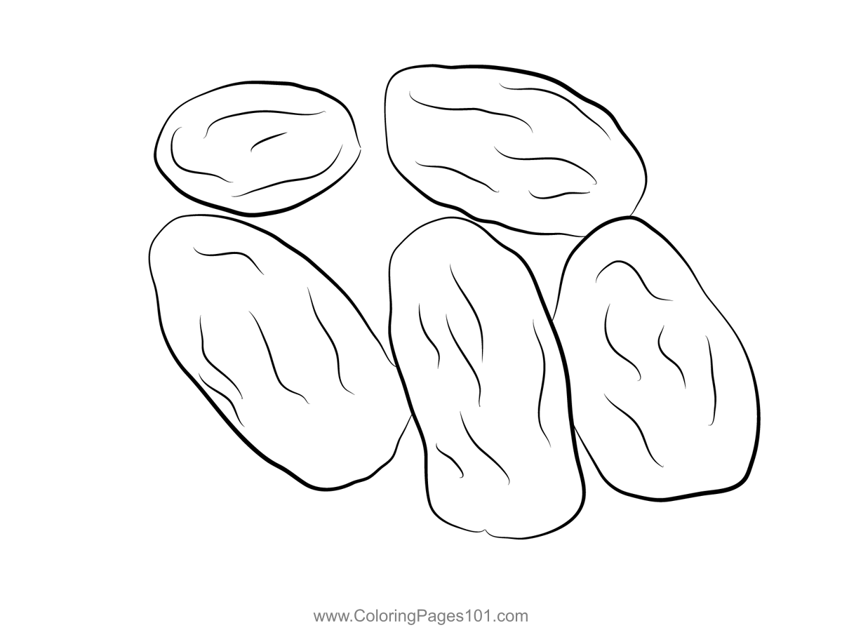 A Kind Of Dates Coloring Page for Kids - Free Date Printable Coloring ...