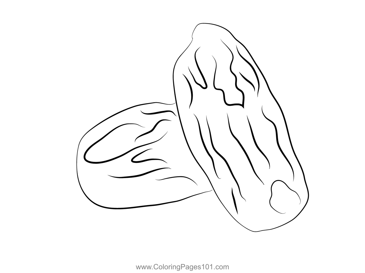 Hurma Coloring Page for Kids - Free Date Printable Coloring Pages ...