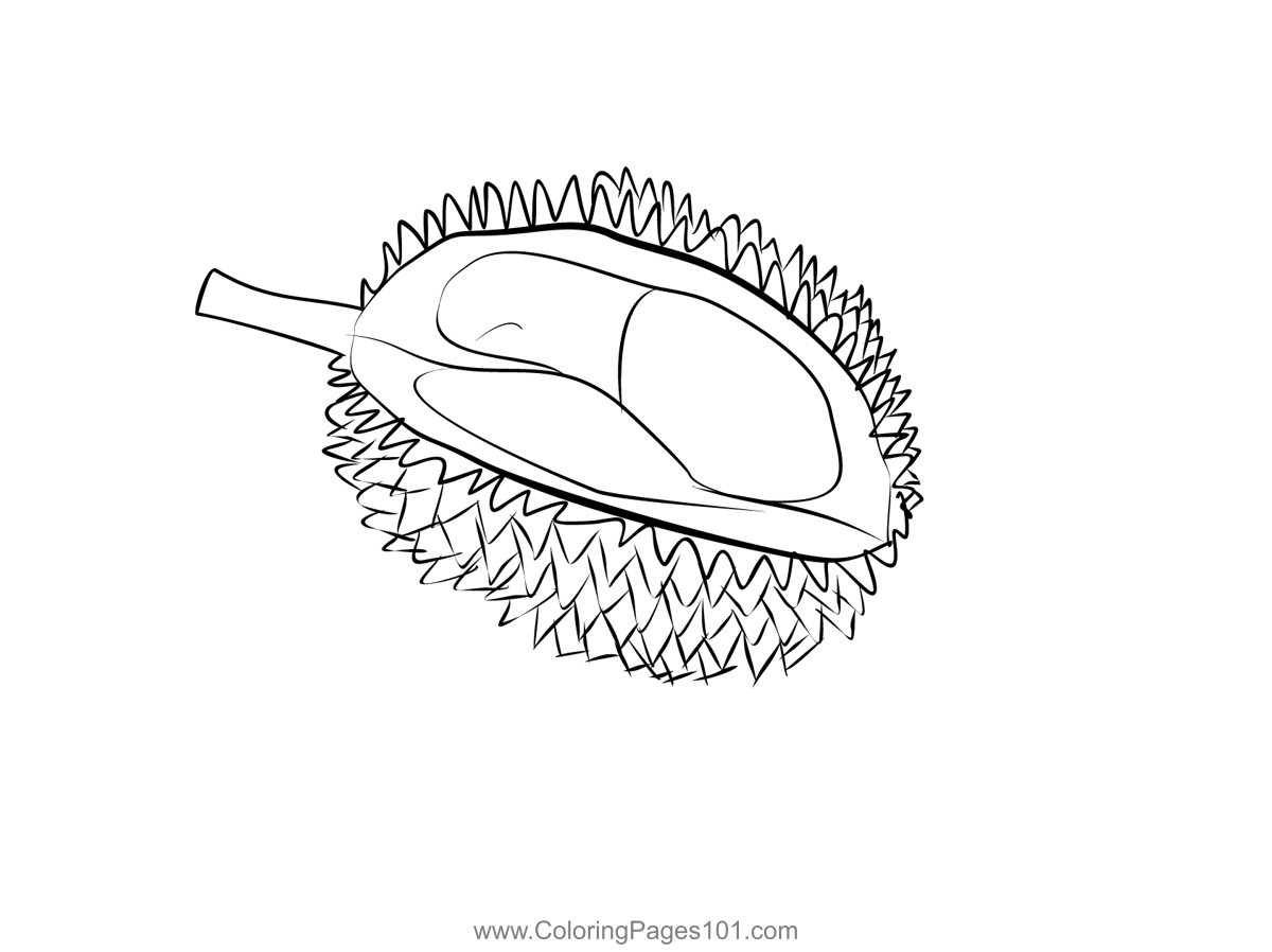 Durian 1 Coloring Page for Kids - Free Durian Printable Coloring Pages ...
